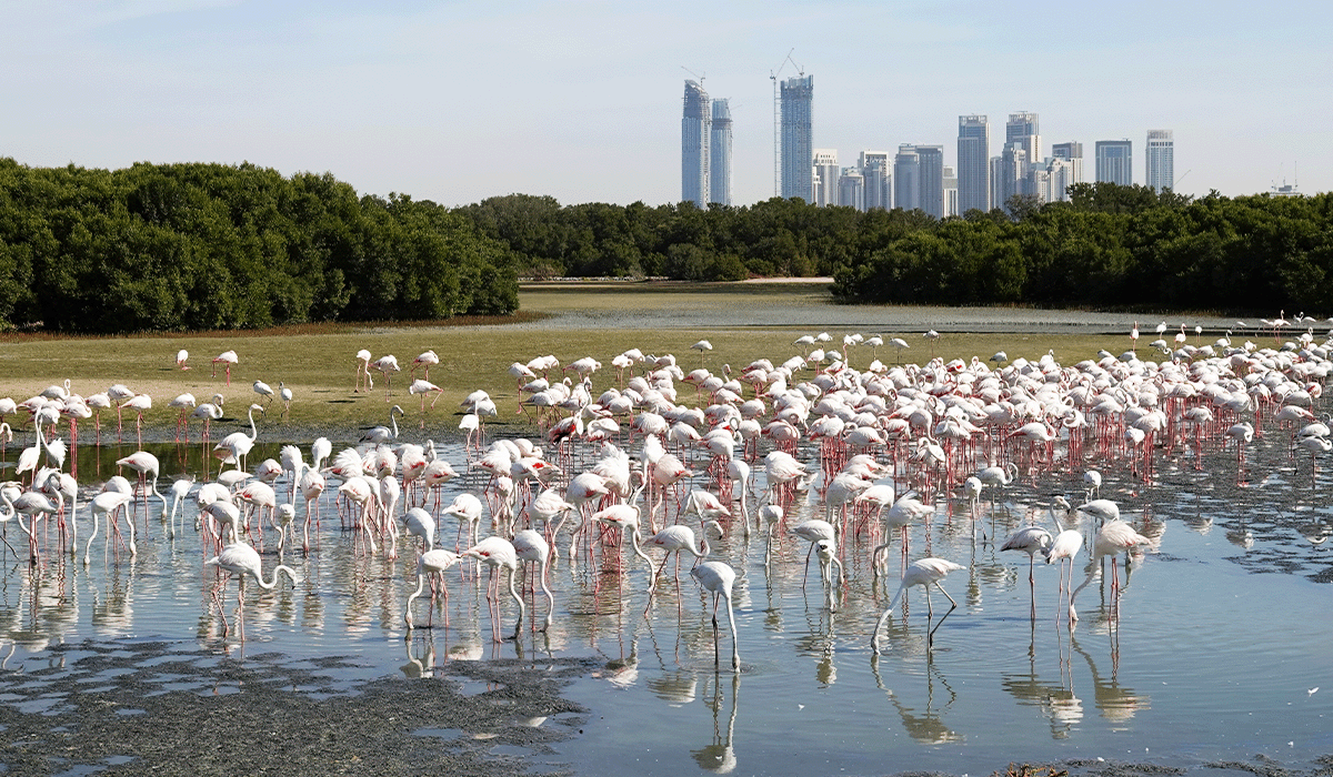 COP28 wrapped up: navigating environmental commitments